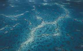 Astonishing Ayau Tour: Explore the Remotest Reefs