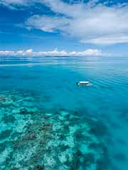 Astonishing Ayau Tour: Explore the Remotest Reefs